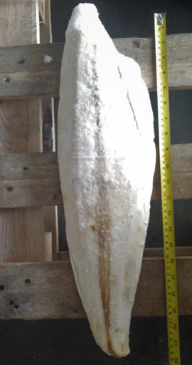 Butterfish Fillet 1-2kg (25kg) – MC Maju Cold Storage Sdn Bhd