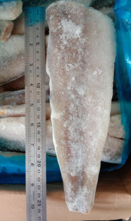 Hake Fillet Skin on (per kg) – MC Maju Cold Storage Sdn Bhd