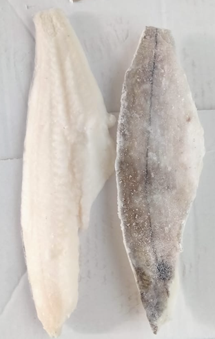 Norwegian Fzn Haddock Fillet (Skin On) (per kg) – MC Maju Cold Storage ...