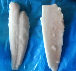 Sole Fillet Skinless (per kg) – MC Maju Cold Storage Sdn Bhd